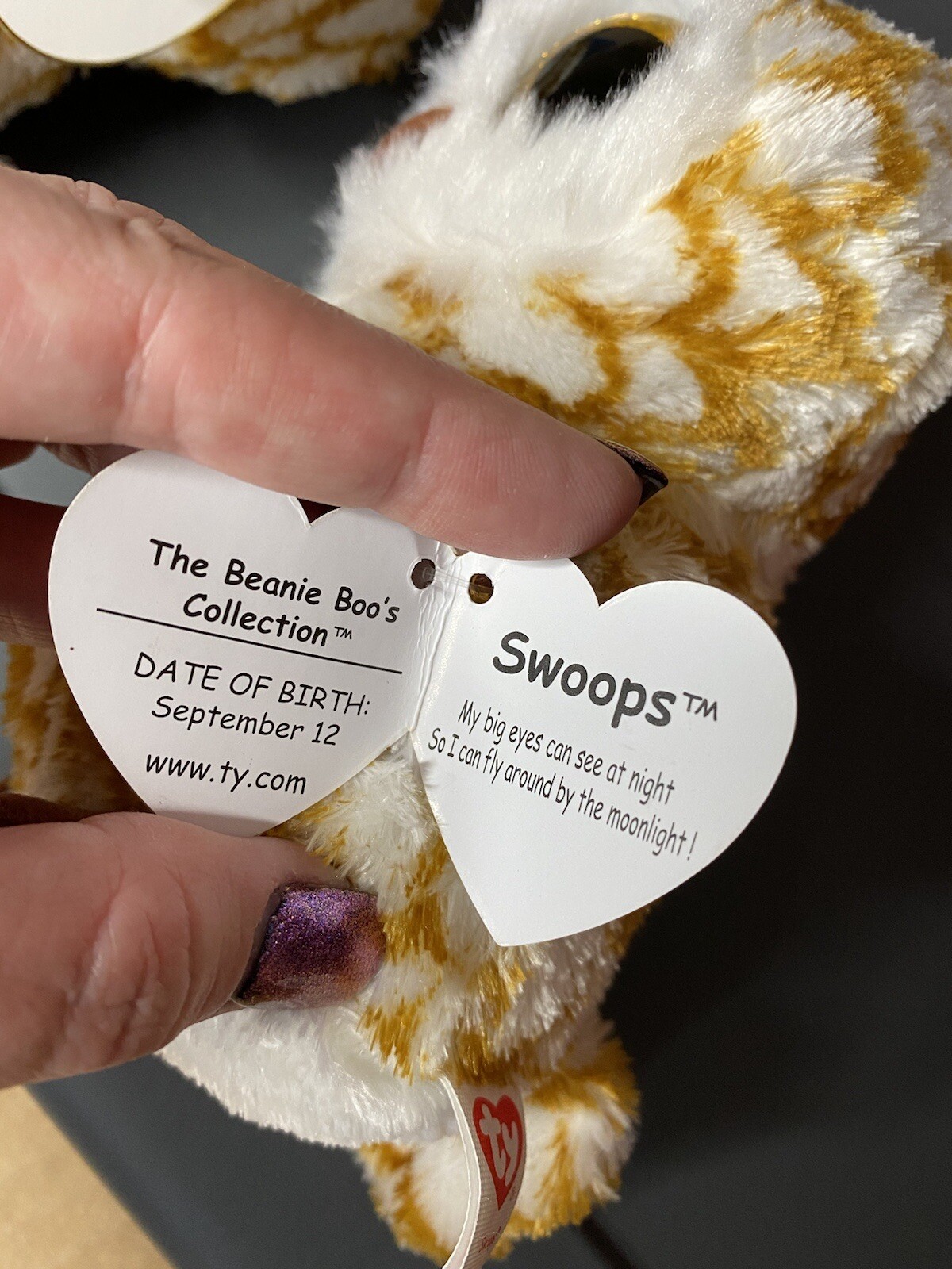 Ty Beanie Boo’s SWOOPS the Barn Owl (6 inches)-set | eBay