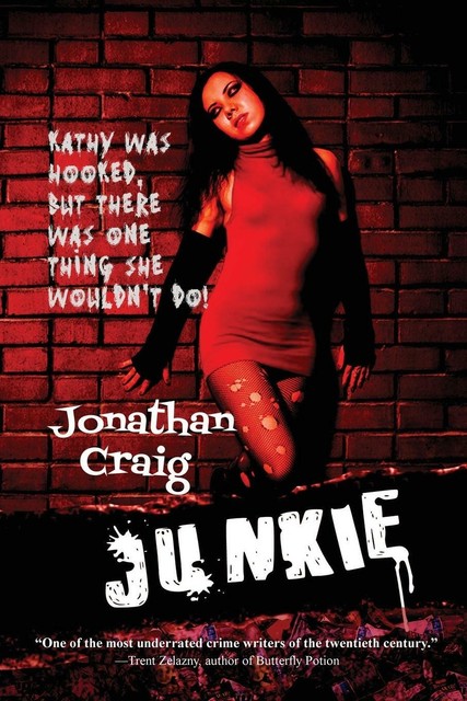 Junkie von Jonathan Craig (2013, Taschenbuch) online kaufen | eBay.de