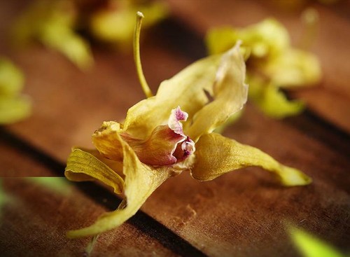 石斛花 TEA Orchid Shihu Fengdou Blossom Dendrobii Dendrobium Flowers 20 g ...