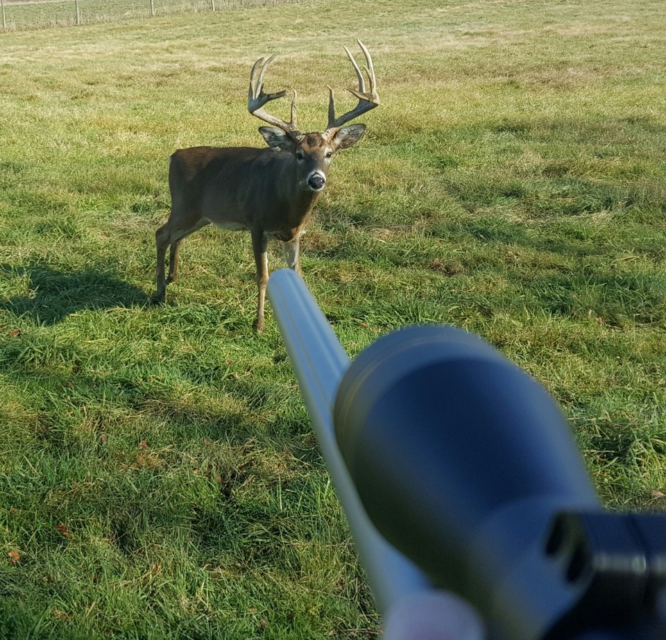 GAME STICK- Cell Phone Camera Mount Crossbow or Rifle Hunting and ...