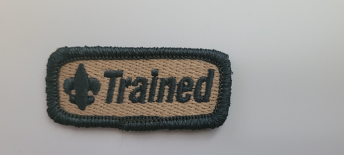 Boy Scout of America Venturing "Trained" Sleeve Patch | eBay