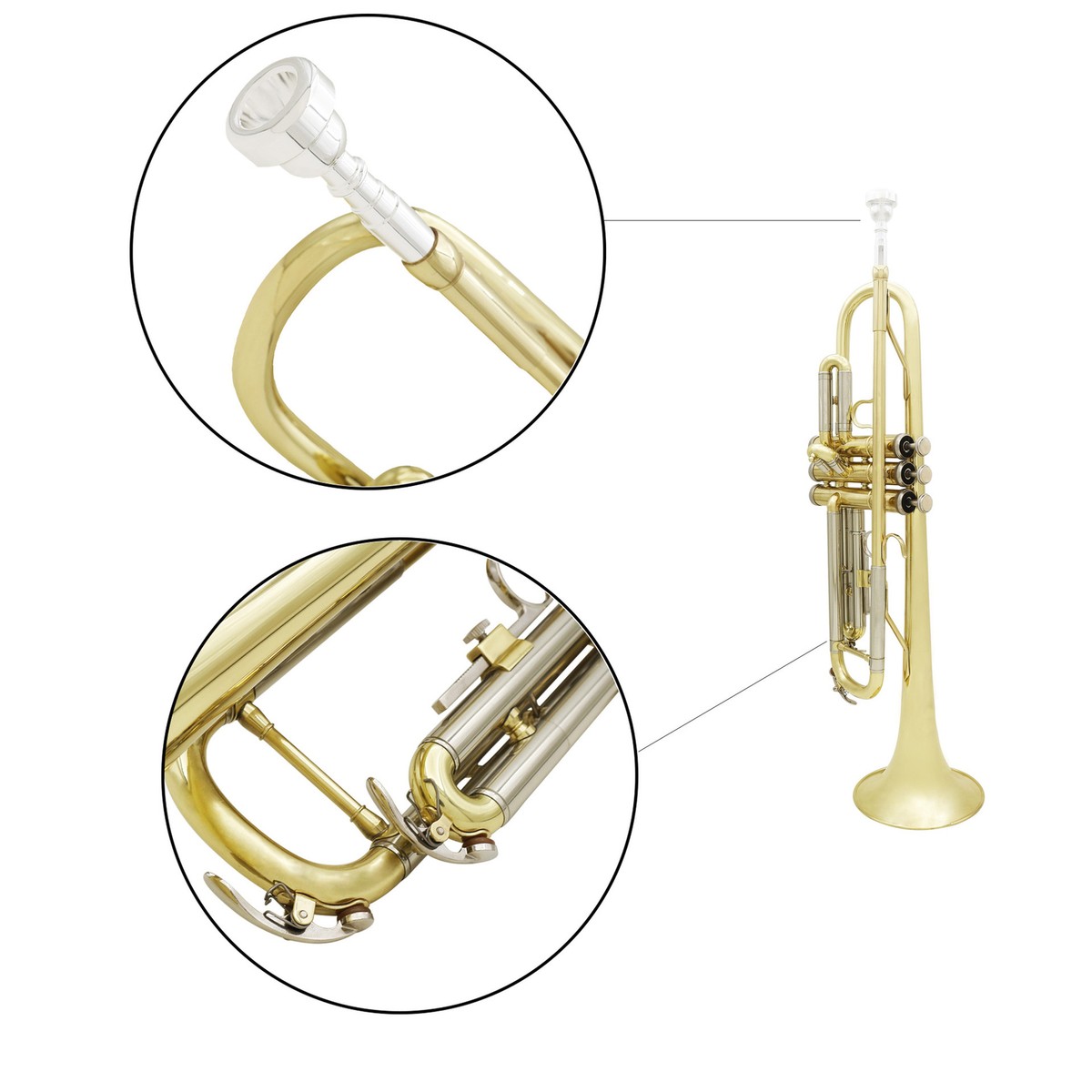 Silver And Gold Trumpet