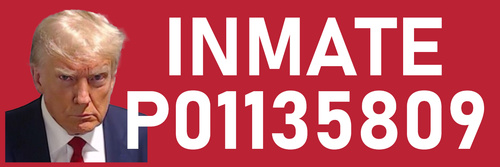 Donald Trump Mug Shot Bumper Sticker Georgia Inmate P01135809 | eBay