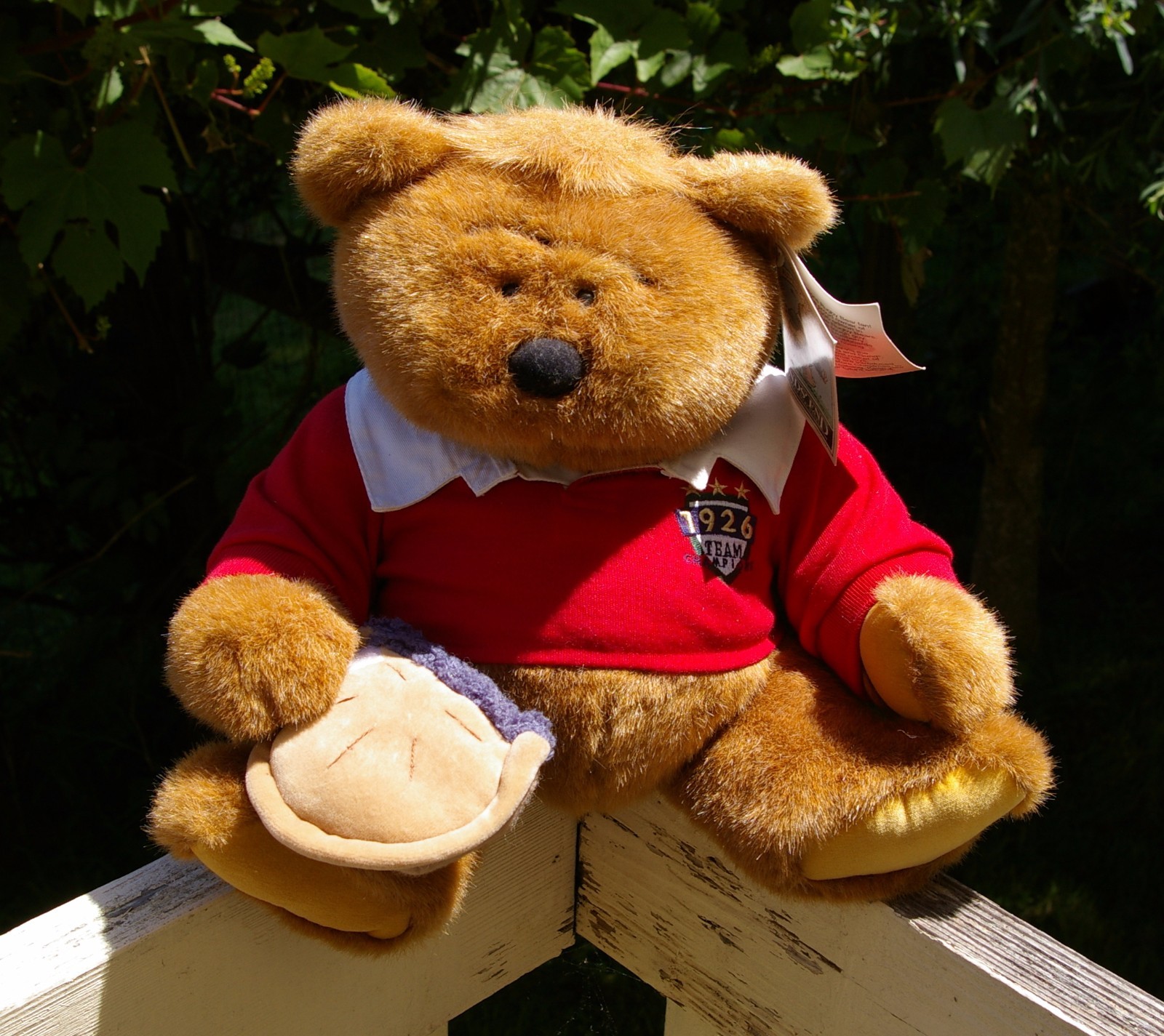 Lands' End Rugby Kid Kodiak Bear Teddy Plush Stuffed Animal Hat Glasses ...