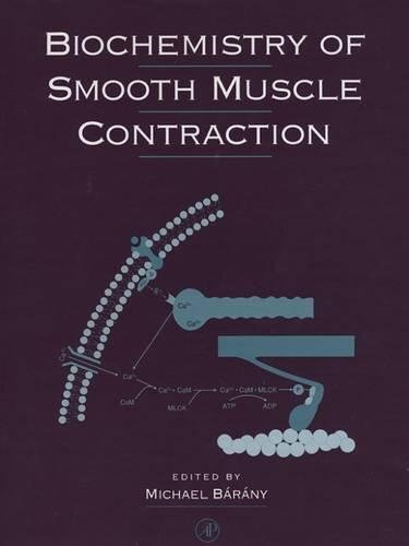 Biochemistry of Smooth Muscle Contraction, Michael Barany | eBay