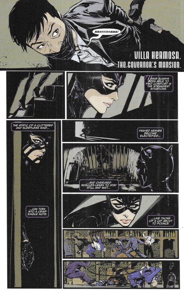 Catwoman Comic 6 Cover B Artgerm Variant First Print 2019 Joelle Jones ...