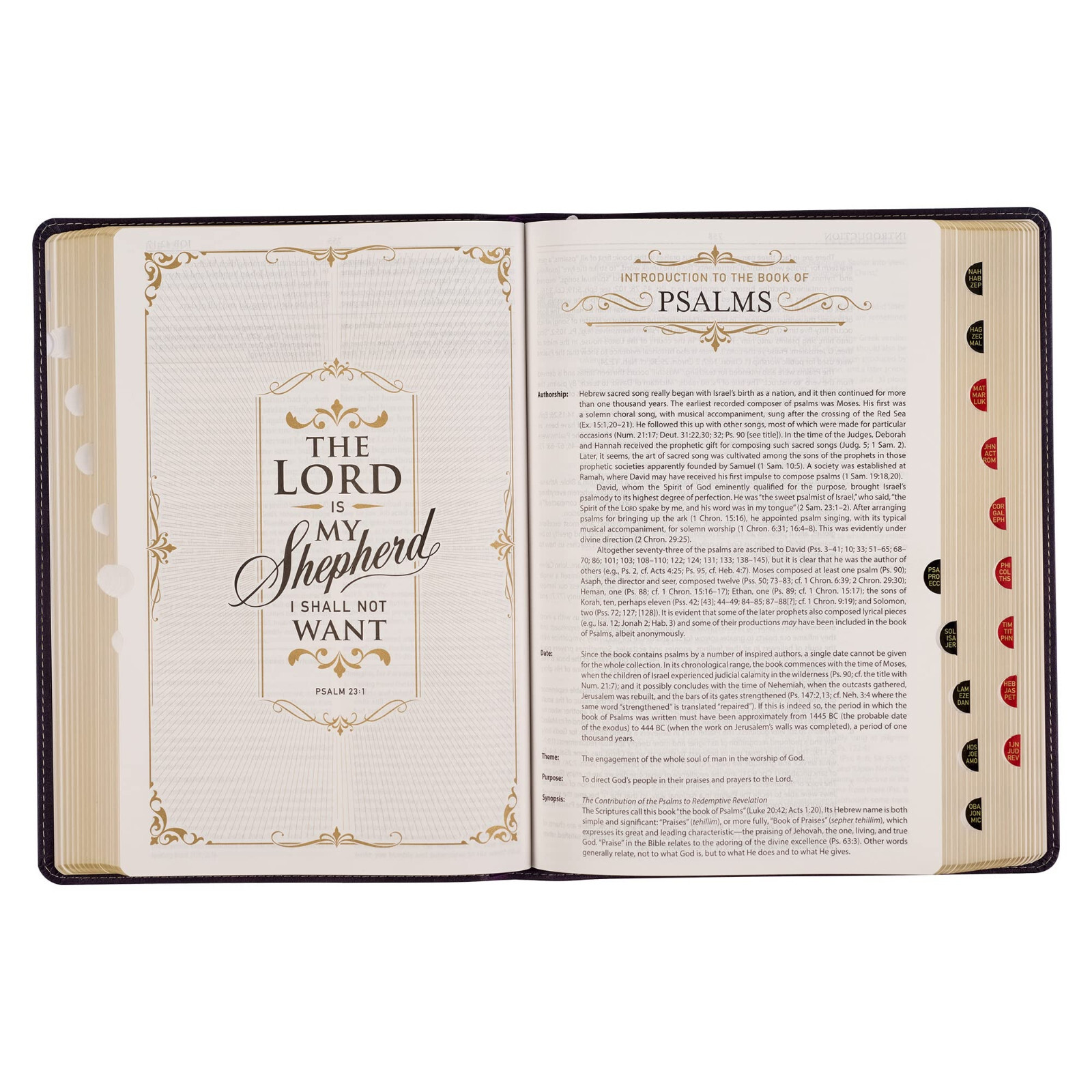 KJV Study Bible Large Print Thumb Indexed 2 Ribbons BRAND NEW in Shrink ...