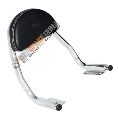 Back Rest With Cushion Compatible with Royal Enfield Twins Interceptor ...