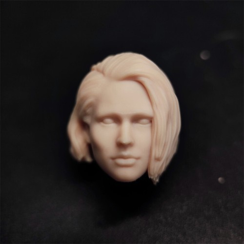 Blank 1/10 Scale Policeman Jill Head Sculpt Unpainted Fit 7" Neca ...