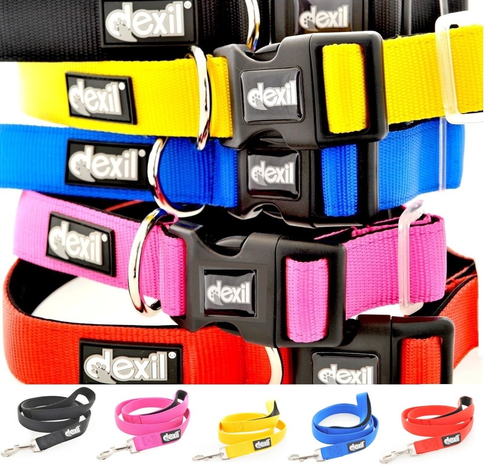 Warning Dog Colour Coded Collar Lead Harness CAUTION, TRAINING Sizes ...