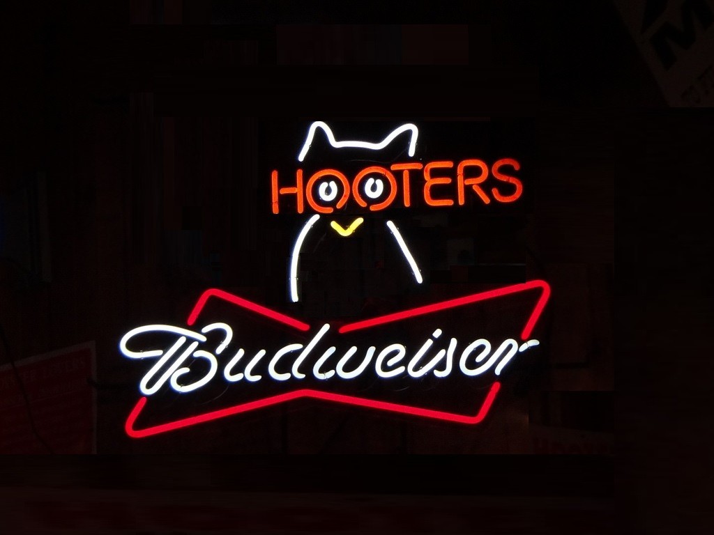 Hooters Beer 20"x16" Neon Sign Lamp Light Bar Club Party Man Cave Decor ...