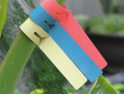 120PCS Wrap around tree tags 8"x3/4" vinyl plastic nursery plant label ...