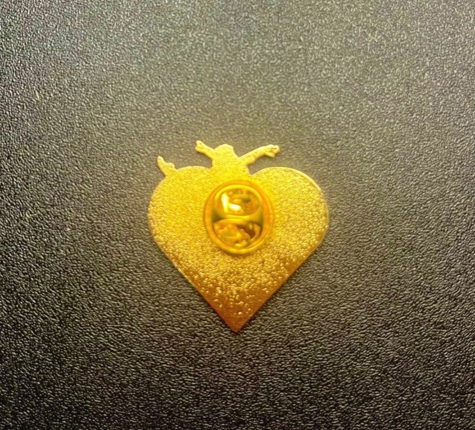 PARIS 2024 OLYMPIC GAMES - Team USA Simone Biles pin - Extremely Rare ...