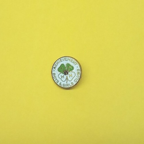Vintage 4H Boys And Girls Clubs Enamel Achievement Pin Youth Enrichment ...