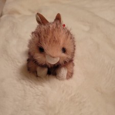Buster the Rabbit - Beanie Babies - Beaniepedia