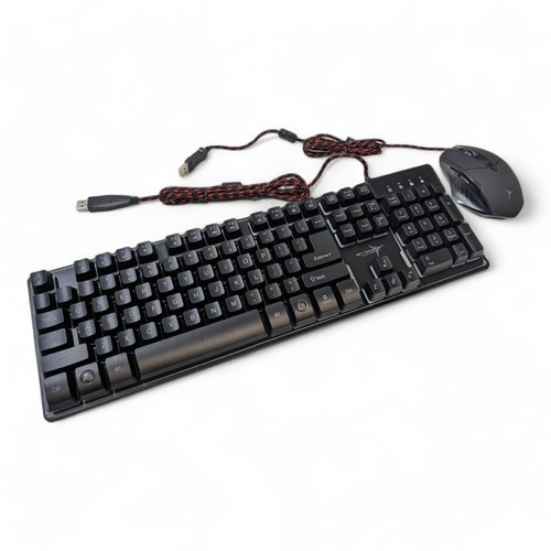 SKYTECH Rainbow Backlit RGB Wired Gaming Keyboard (K-1000)& Mouse (M ...