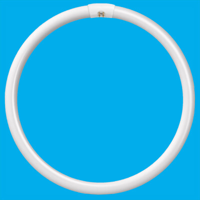 1x 40W G10Q 4 Pin T5 Round 275mm Circular Lamp Fluorescent Tube Ring ...