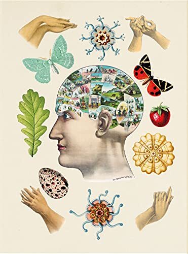 The Antiquarian Sticker Book, Over 1,000 Exquisite Victorian Stickers ...