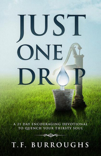Just One Drop: A 21 Day Encouraging Devotional To Quench Your Thirsty ...