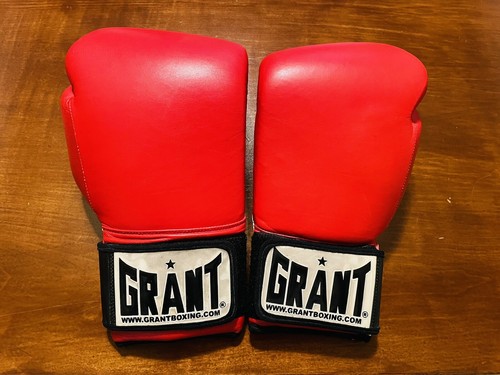 Grant 10oz Laceless Boxing Training Gloves (Winning Everlast Reyes) | eBay