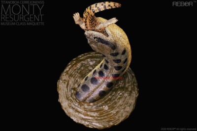 REBOR Statue Maquette-1:11 Titanoboa Museum Level Model Collection ...