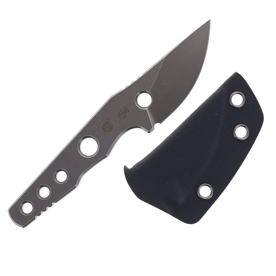 Petrified Fish Bison Fixed Blade Knife 14C28N Handle/Blade Plain SW ...