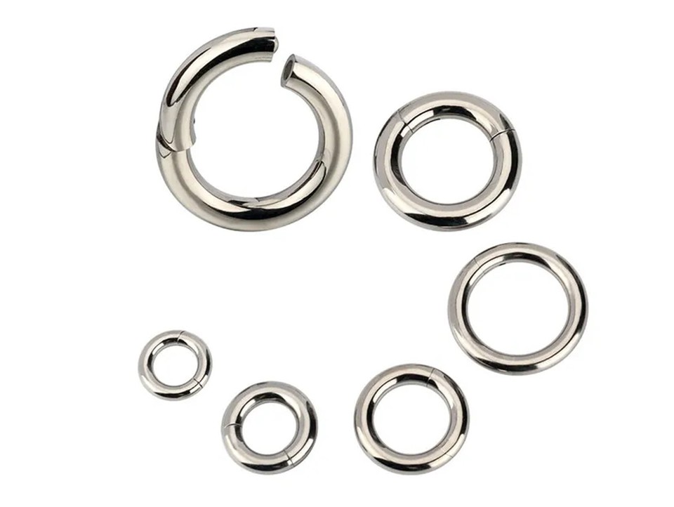Prince Albert Piercing Jewellery PA Rings Clicker Segment Hinged ...