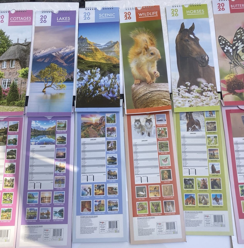 2026 Month To View Slim ONE BIG Column & 2 Columns Calendar Wall ...