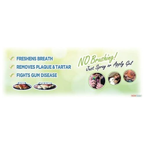 PetzLife DOG CAT ORAL CARE GEL 1 oz PEPPERMINT Attack Pet Tooth PLAQUE ...