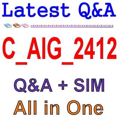 Best Exam Practice Material for C_AIG_2412 Exam Q&A | eBay