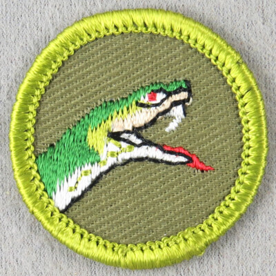 REPTILE STUDY 1961-1968 Type F Rolled Edge Khaki Twill Merit Badge | eBay