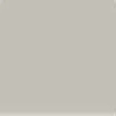 Mission Models MIOMMP-116 Light Grey (FS 36495) Acrylic Paint 1oz | eBay