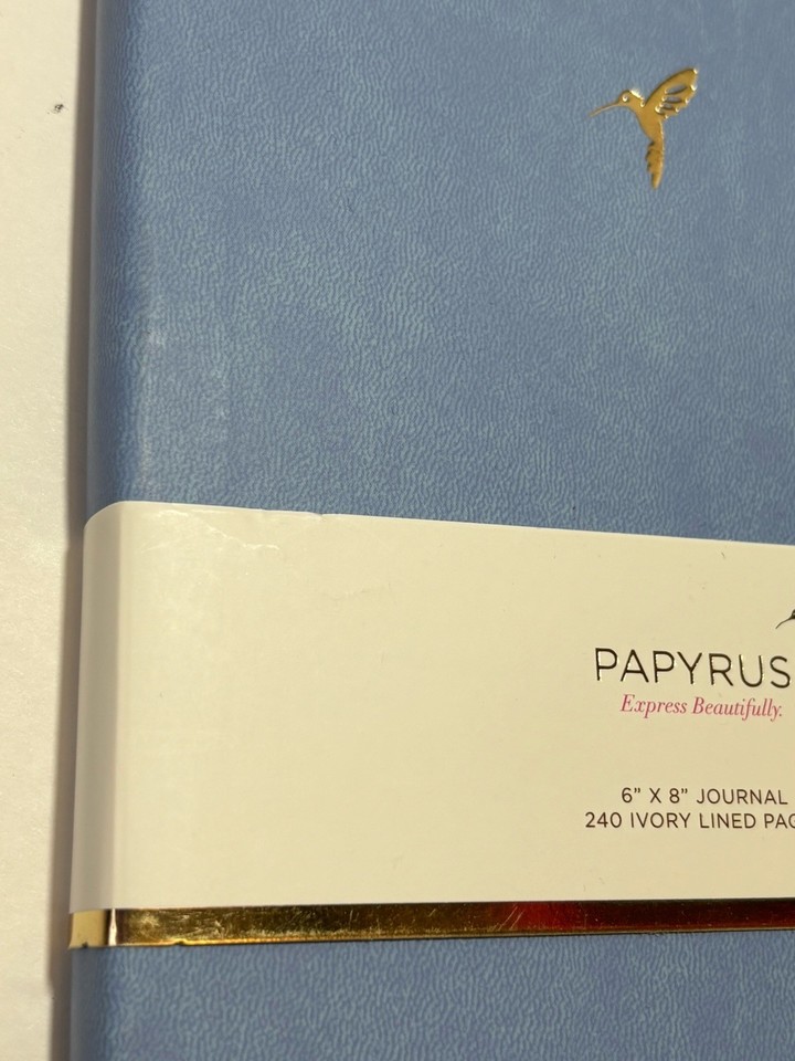 PAPYRUS Blue Ruled Gilded Notebook Journal 240 Ivory Lined Pages ...