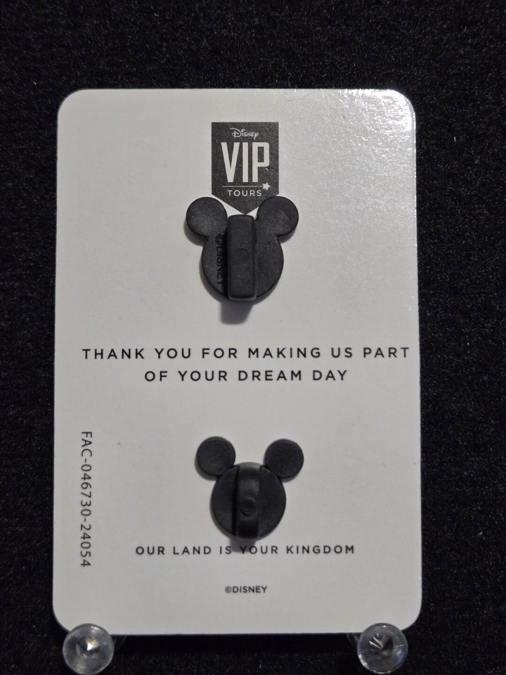 Disneyland VIP Tours Exclusive "D" Pin | eBay