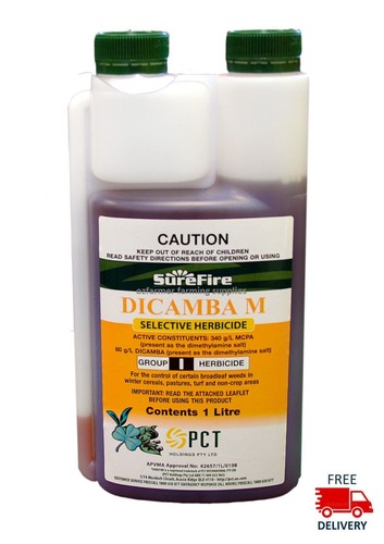 Dicamba M Selective Herbicide Weed Killer 1Litre - Equiv to Kamba M | eBay