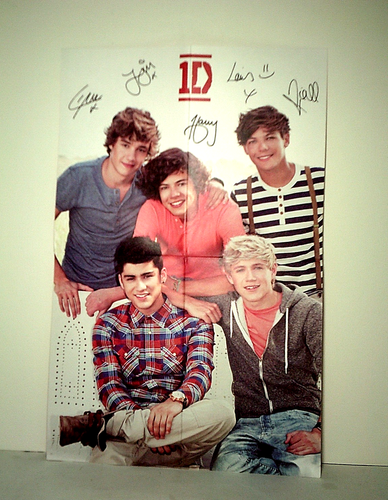 One Direction 1D Poster Fold-out Card NEW Collectible Harry Liam Niall ...