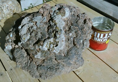 DINOSAUR COPROLITE from WYOMING - AGATIZED - 73 LBS HUGE ROUGH SPECIMEN ...