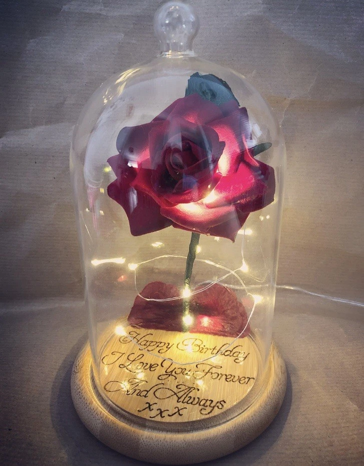 Beauty And The Beast Enchanted Rose Quote