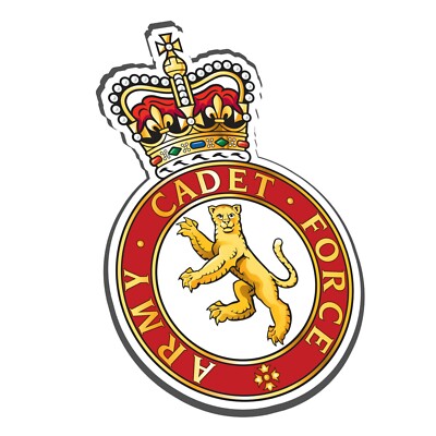 THE ARMY CADET FORCE STICKER - BRITISH ARMY - ACF CADETS | eBay