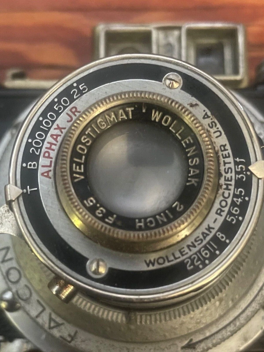 Special Falcon Camera