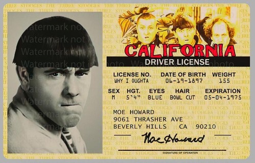 Moe Howard Three Stooges License Card Novelty ID | eBay