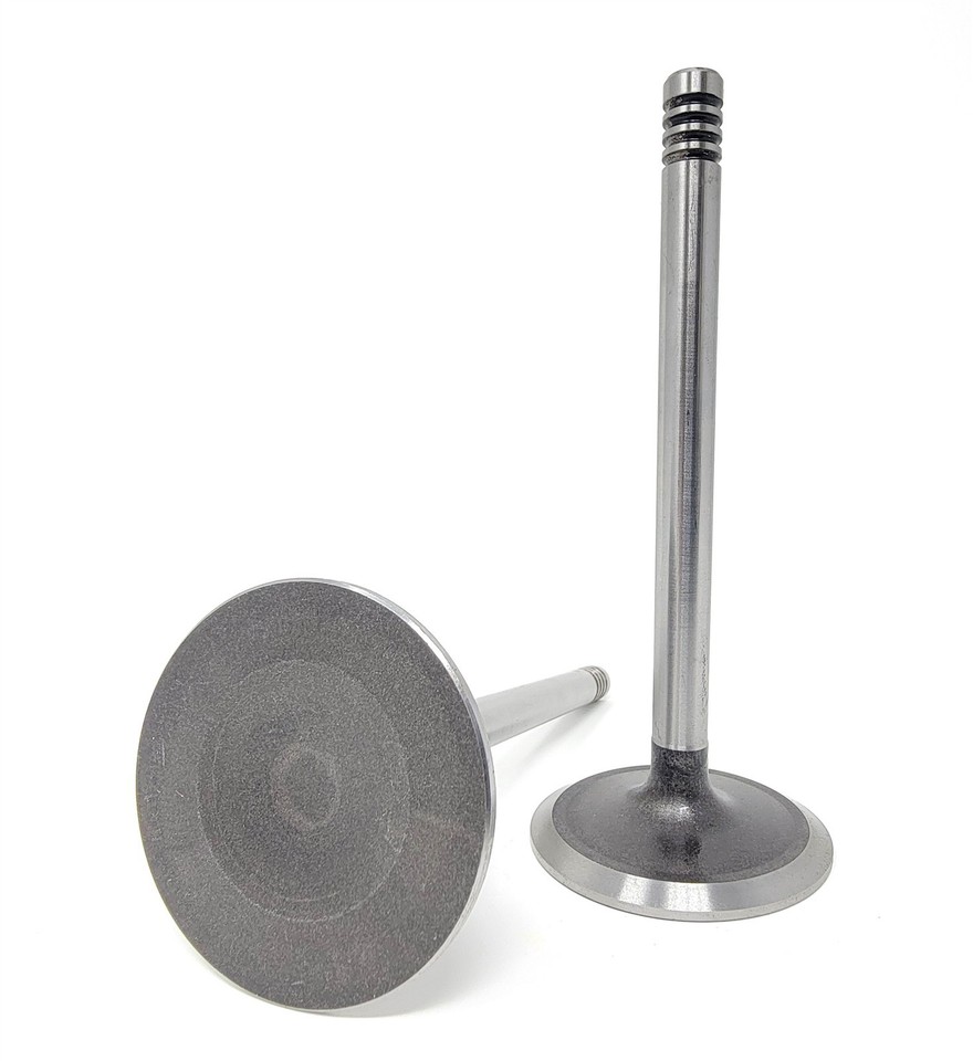 Fits 1975 - 1978 AMC Matador 360 V8 - (8) INTAKE & (8) EXHAUST VALVES ...
