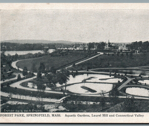Forest Park, Springfield Mass. Aquatic Gardens VTG Photo-Type Postcard ...