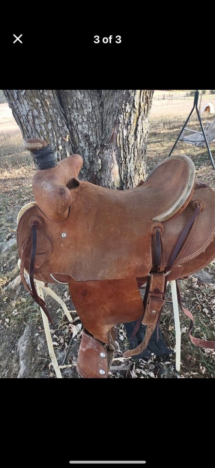 16" CORRIENTE RANCH ROPER | eBay