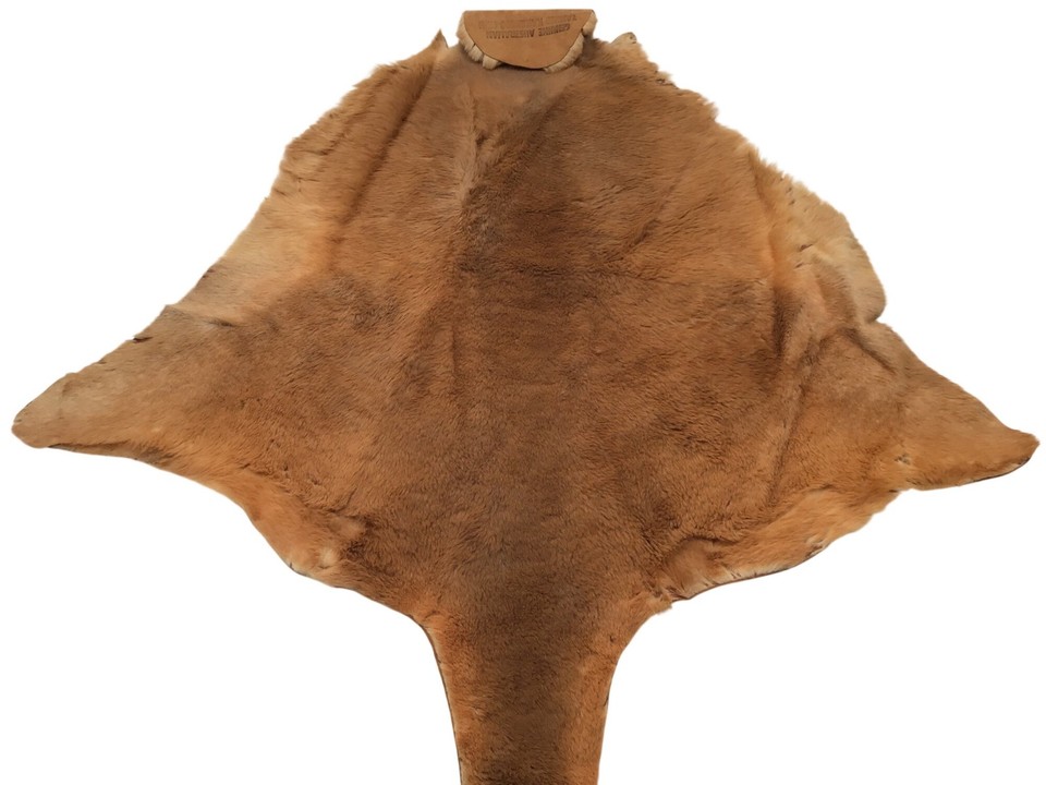 Genuine Australian Tanned Kangaroo Skin Hide Rug Natural Brown Leather ...