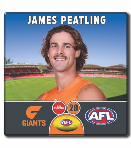 2024 AFL GWS Giants Football Club - PEATLING, James | eBay Australia