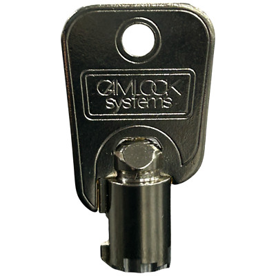 Camlock Systems Key 8T57496 | eBay UK