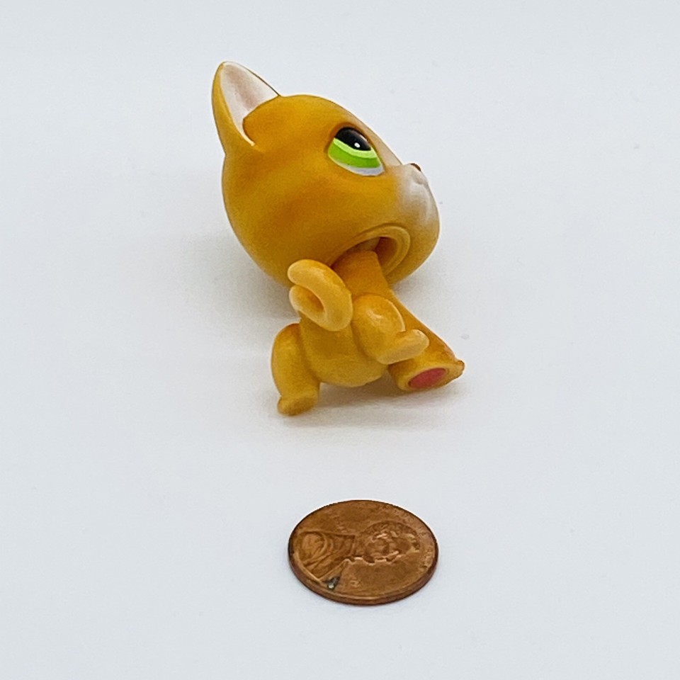 👀 Littlest Pet Shop #11 Orange Shorthair Cat w/Green Eyes Lps Tabby | eBay