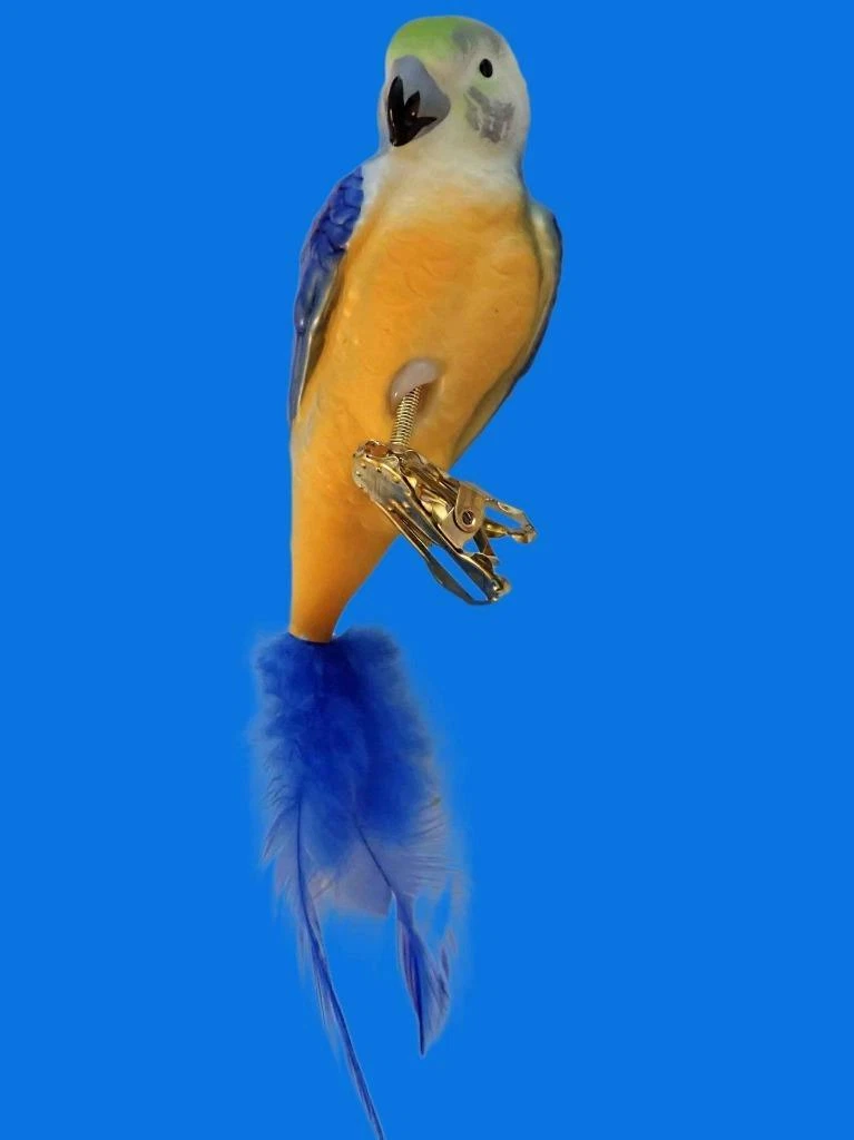 Norwegian Blue Parrot