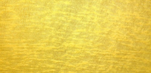 Chances R Women Plus Size 2x 3x Hi Lo Burnout Yellow Beaded Swing Top ...